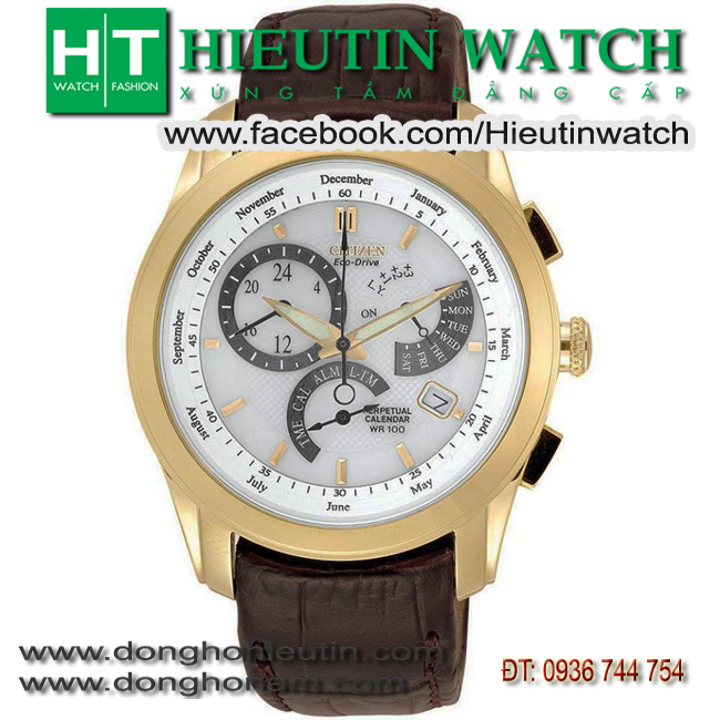 Đồng hồ CiTIZEN BL8002-08A